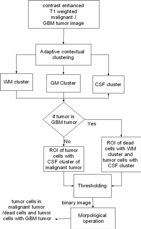 Automatic Malignant Brain Tumor And Glioblastoma Brain Tumor Detection Download Scientific