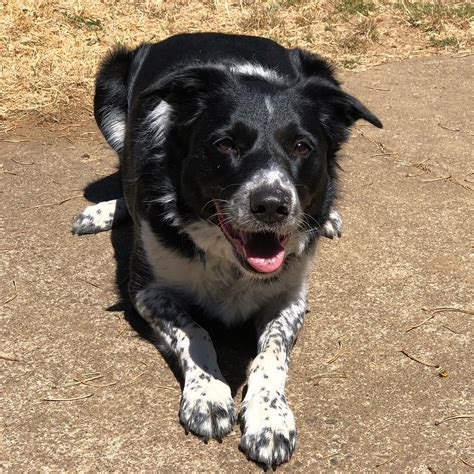 Morgan Herring Morganherringdesigns • Instagram Photos And Videos