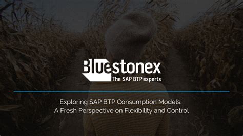 Exploring Sap Btp Consumption Models Bluestonex