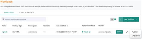 External Dns With Amazon Eks Using Rafay Rafay Product Documentation