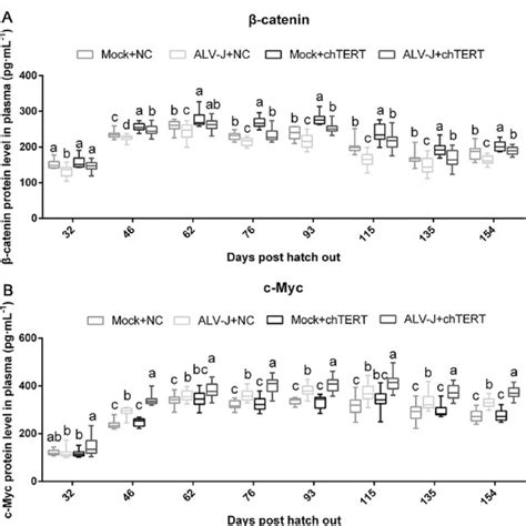 Expression Of β Catenin A And C Myc B In Chicken Plasma Of Download Scientific Diagram