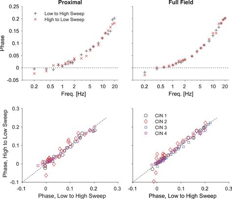 Figures And Data In Non Uniform Distribution Of Dendritic Nonlinearities Differentially Engages