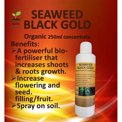 Organic Seaweed Fertilizer For Plants Seaweed Black Gold Concentrated