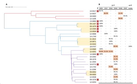 figure e phylogeny clustering and fq hetero resistance profile of ff