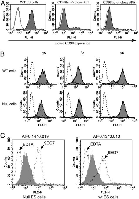Cd98hc Slc3a2 Mediates Integrin Signaling Pnas