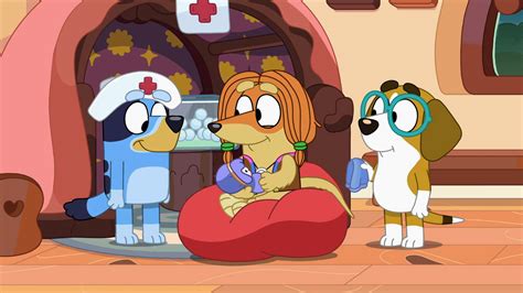 Watch Bluey S1 Episode 40 On Jiohotstar