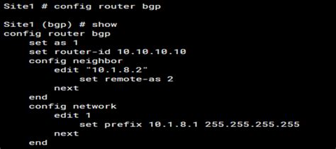 mastering bgp neighborship