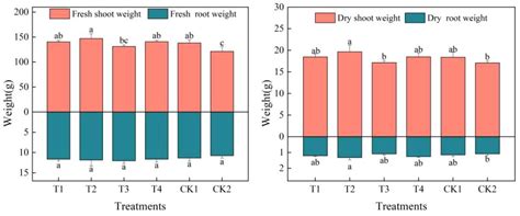 Effects Of Different Root Zone Heating Methods On The Growth And Photosynthetic Characteristics