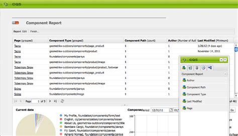 Reporting On Component In Aem