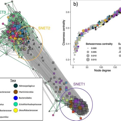 Co Occurrence Network Depicting Interactions Between Bacterial And