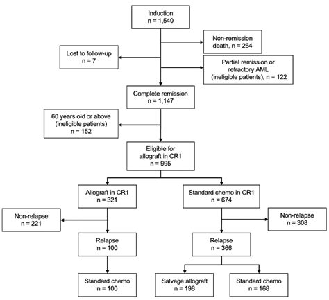 Flow Chart Showing Treatments And Prognoses Of Aml Patients In The Download Scientific Diagram