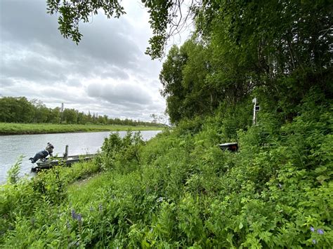 Beadedstream Temperature Profiling A Key Tool For Monitoring Water