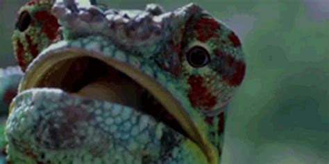 When Im Asked For My Opinion On A Piece Of Code And I Have No Idea Whats Going On The Coding