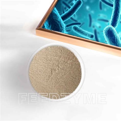 Bacillus Subtilis Top 1 Probiotic Best Feed Additives