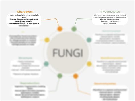 Solution Kingdom Fungi Mindmap Studypool