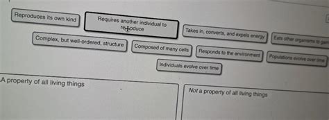 Solved Reproduces Its Own Kindrequires Another Individual