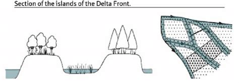 49 A Section Of An Island On The Delta Front I Malvarez 2007 P 46