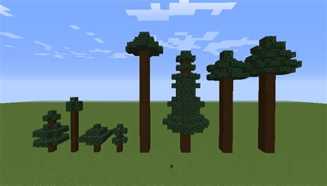 Spruce Minecraft Wiki