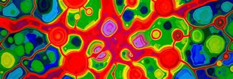 Cell Junctions And Extracellular Matrix