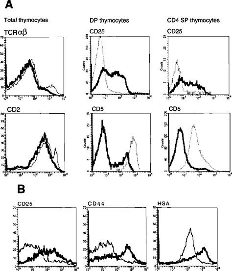Figure 6 From The Mar Binding Protein Satb1 Orchestrates Temporal And