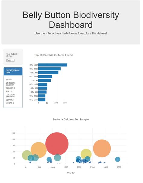 Github Rubysdbellybutton