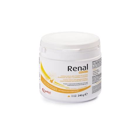 Renal Combi 240 G