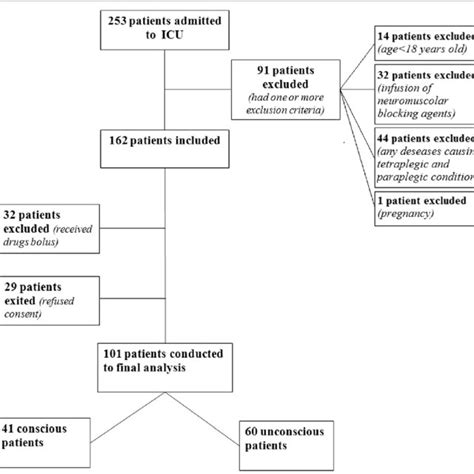Consort Flow Diagram Flow Diagram Summarizing Inclusion Allocation