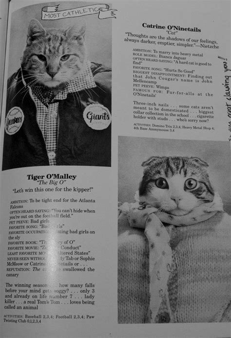 Cat High A Bizarre Yearbook For Cats 24 Pics