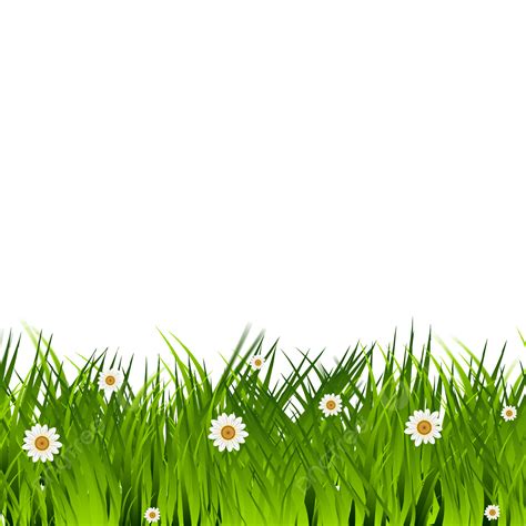 Green Grass Vector Hd Images Green Grass With Flowers Flowers Green Grass Grass Png Image