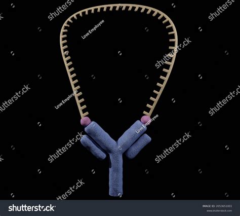 Nucleic Acid Based Diagnostics Over 4 Royalty Free Licensable Stock Illustrations And Drawings