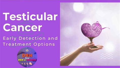 Testicular Cancer Early Detection And Treatment Options Reproductive