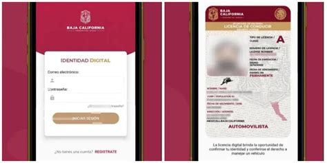 Tijuanenses Podrán Tener Su Licencia De Conducir En Formato Digital ¡es