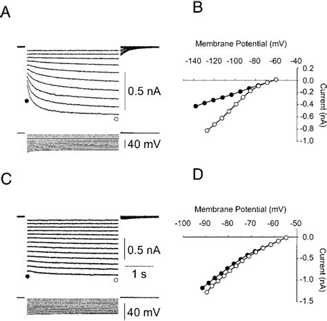 Variability In Fast And Slowly Developing Inward Rectification Ir Download Scientific Diagram
