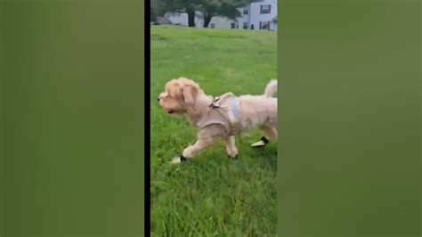 메기의추억 윤치호 Youtube