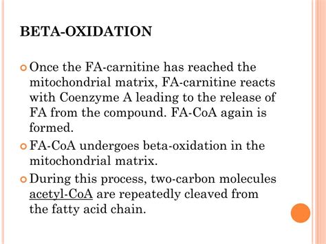 Ppt Beta Oxidation Of Fatty Acids Powerpoint Presentation Free
