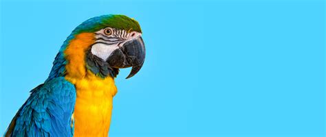 Tilintarkastus Kampanjasivu Tuokko