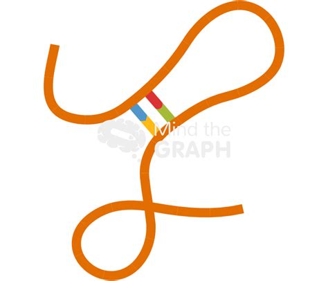 Non Coding Rna 2 Non Coding Rna 2