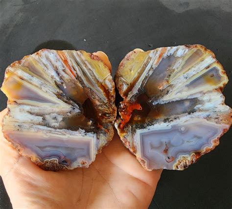143 Oz 406 Gr Agate Decor Pseudomorph Agate Natural Agate Specimen