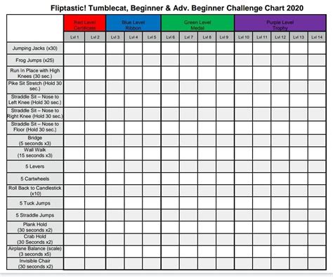 Gymnastics Moves Chart Essential Gymnastics Skills You Should Master