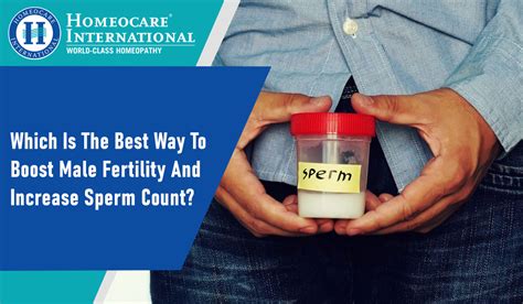 Which Is The Best Way To Boost Male Fertility And Increase Sperm Count