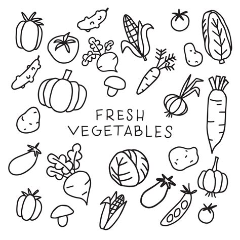 Vegetable Drawing Art