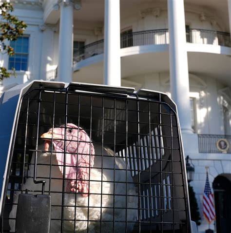 Is Morality Subjective Or Universal A Psychology Study Says Its Both