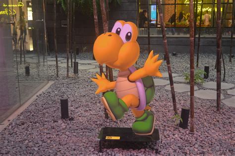 Dsc0018 Nintendosoup