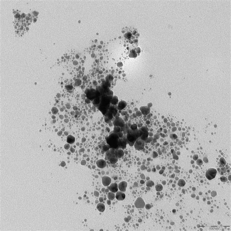 Can Somebody Help Me With The Interpretation Of Tem Pictures Of Silver Nanoparticles Researchgate