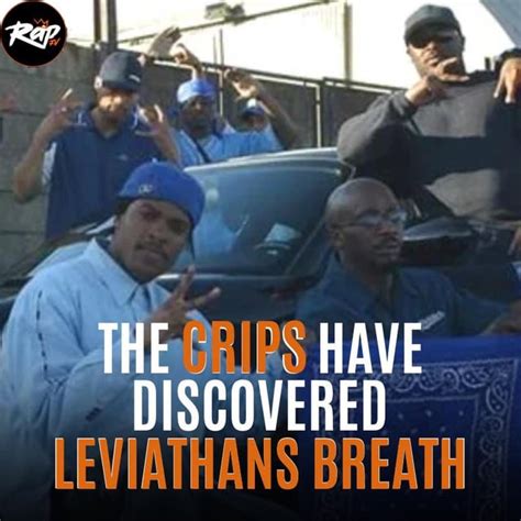 Holy Fuck Is This Real Rdestinycirclejerk