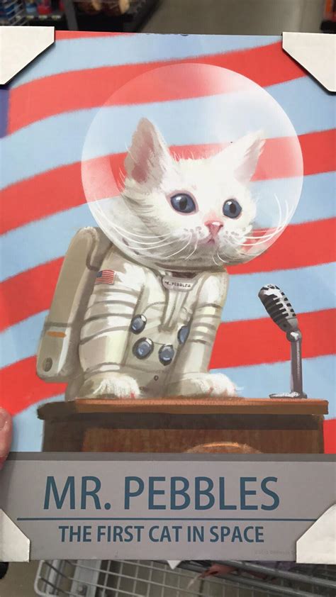 Found This At Five N Below Today Rfo76filthycasuals