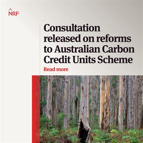 We Have Just Released A Briefing On The Content Of The Consultation