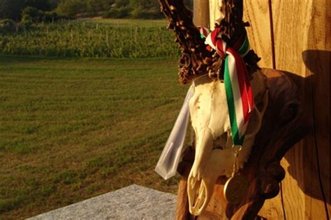 Sul Capriolo Di Sara Chiarlone Wilderness Italia