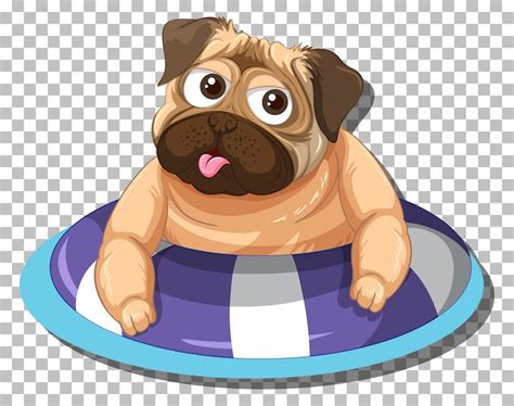Dicker Hund Clipart Übergewicht Beim Hund Loswerden