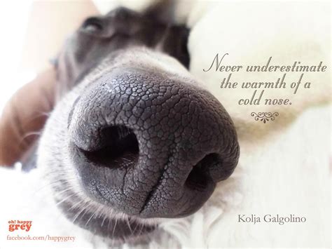 Nose Bleed Quotes